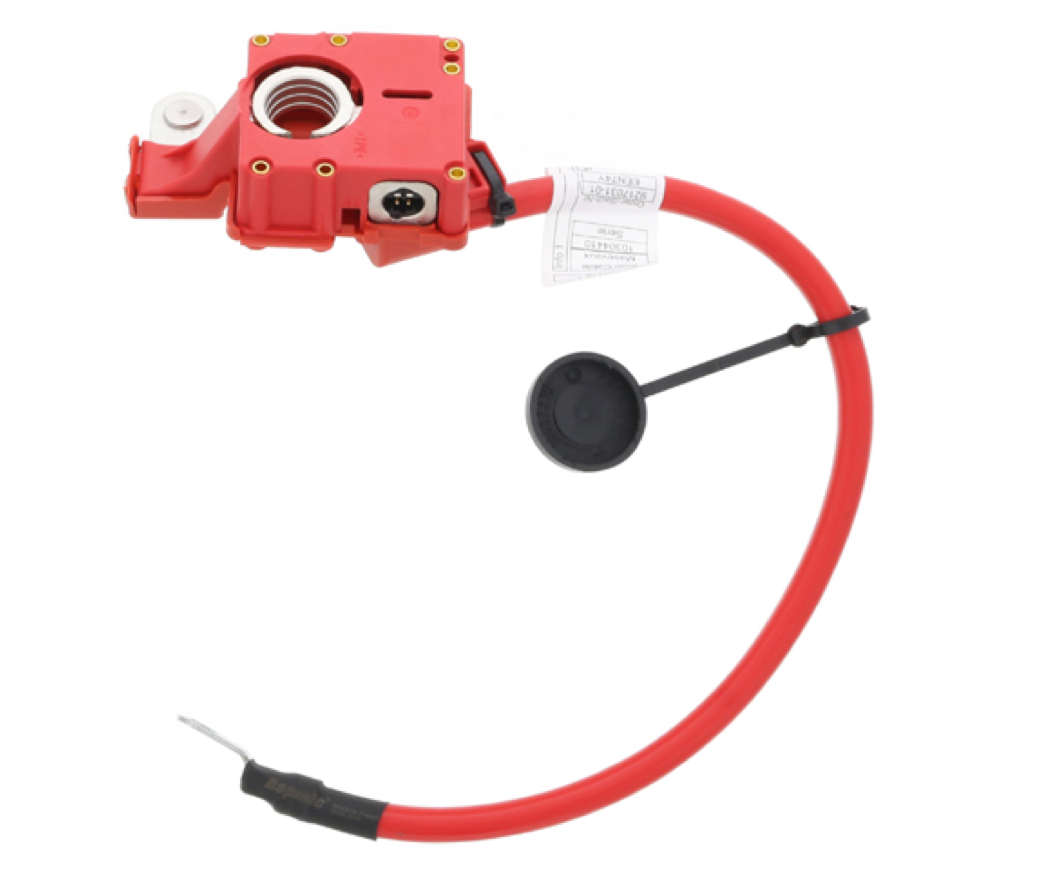 BMW X1 Battery Cable | 61129217031