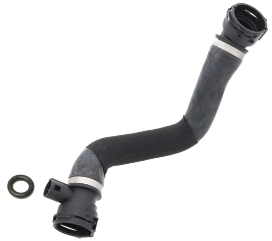 BMW F10 M5 Lower Radiator Hose | 11537843264